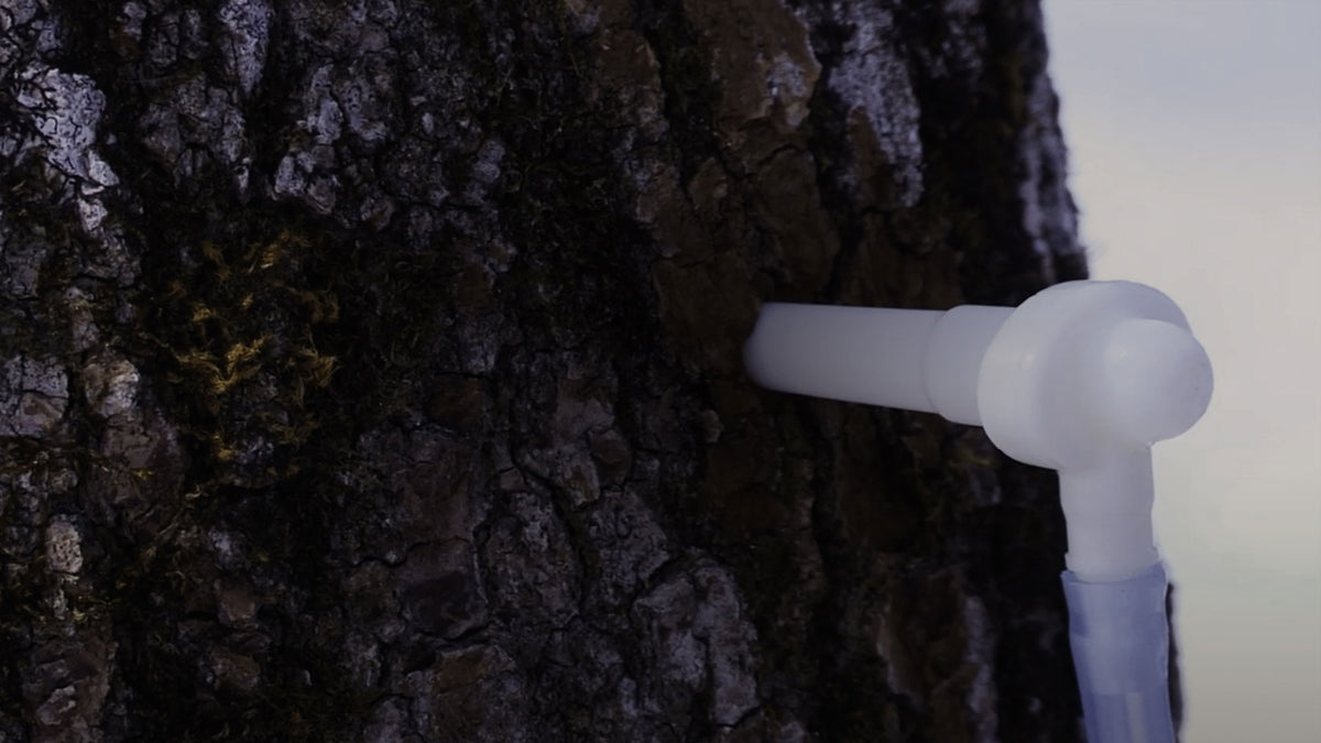 The Maple Guys | Maple Sugaring Equipment & Supplies